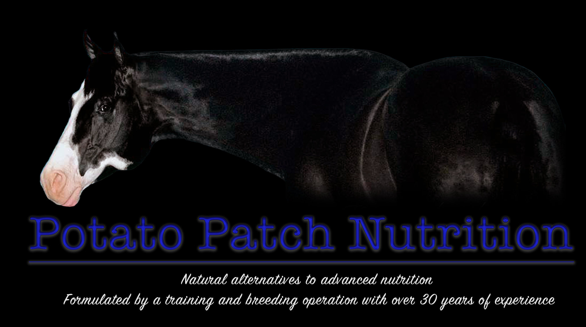 Potato Patch Store – Potato Patch Farms